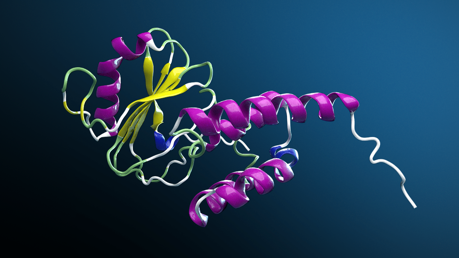 NVIDIA 開放 BioNeMo 推動全球生物製藥及科學產業的數位生物學規模化發展 - NVIDIA 台灣官方部落格
